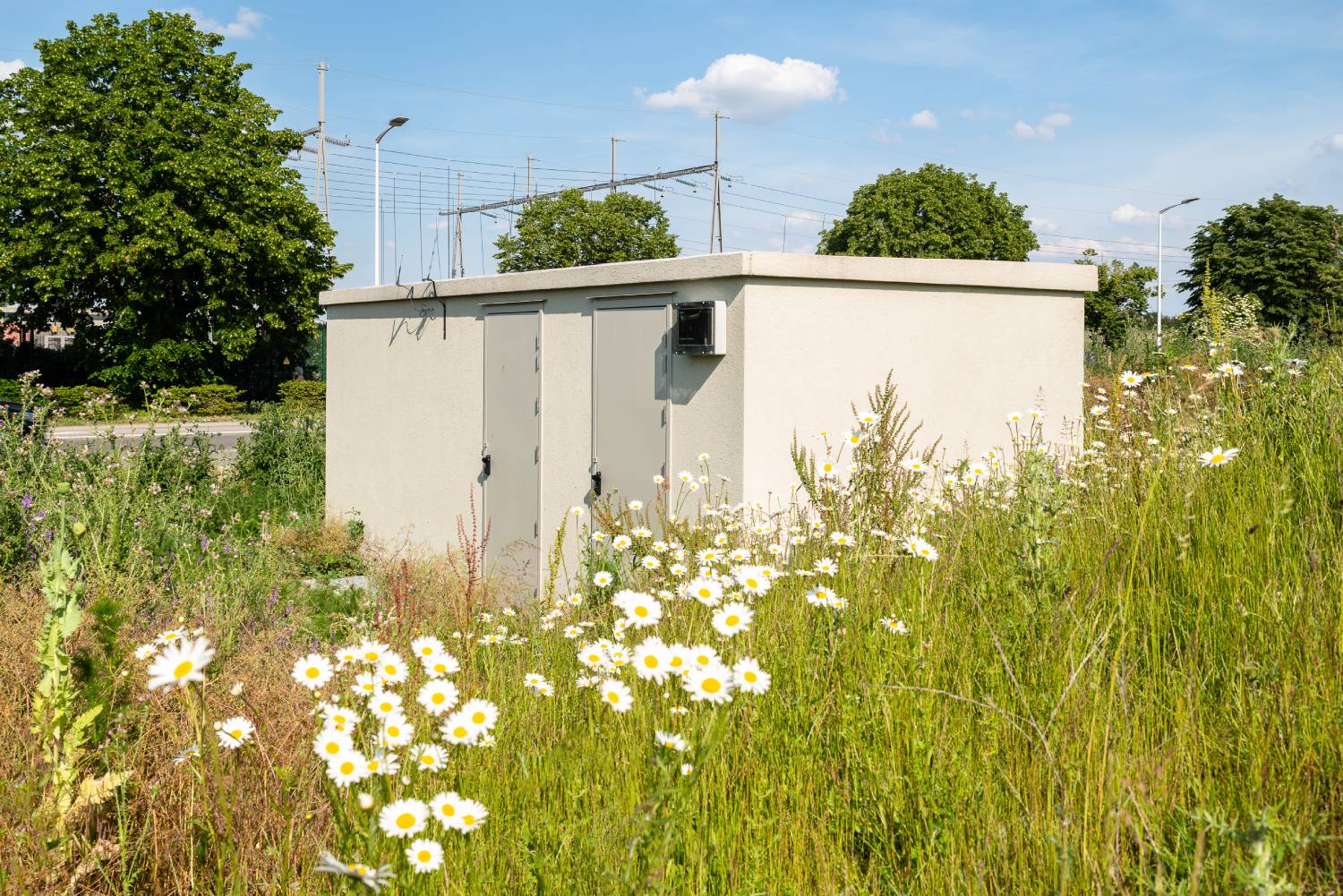 HyperStrong's new venture brings French energy storage products to Asia ...